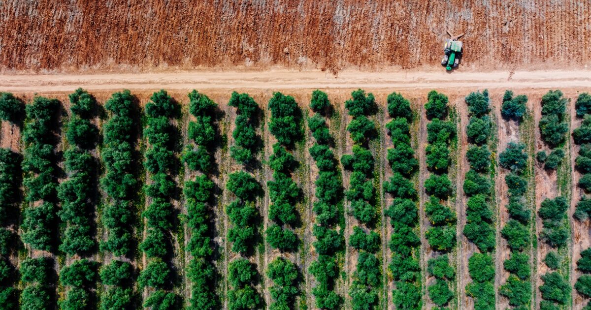 Grupo Altri aumenta vendas e lucros crescem para os 21,6 milhões de ...