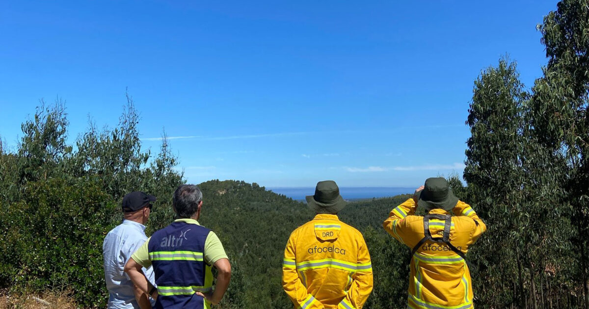 How human relationships sustain the future of the forest? | Altri news